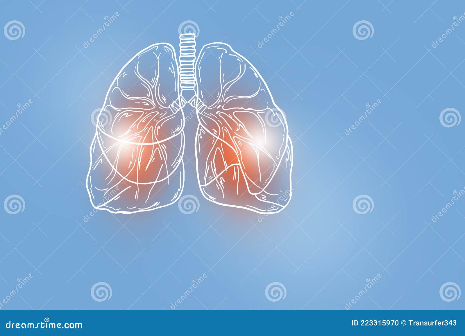 Handrawn Illustration of Human Lungs on Light Blue Background. Stock ...