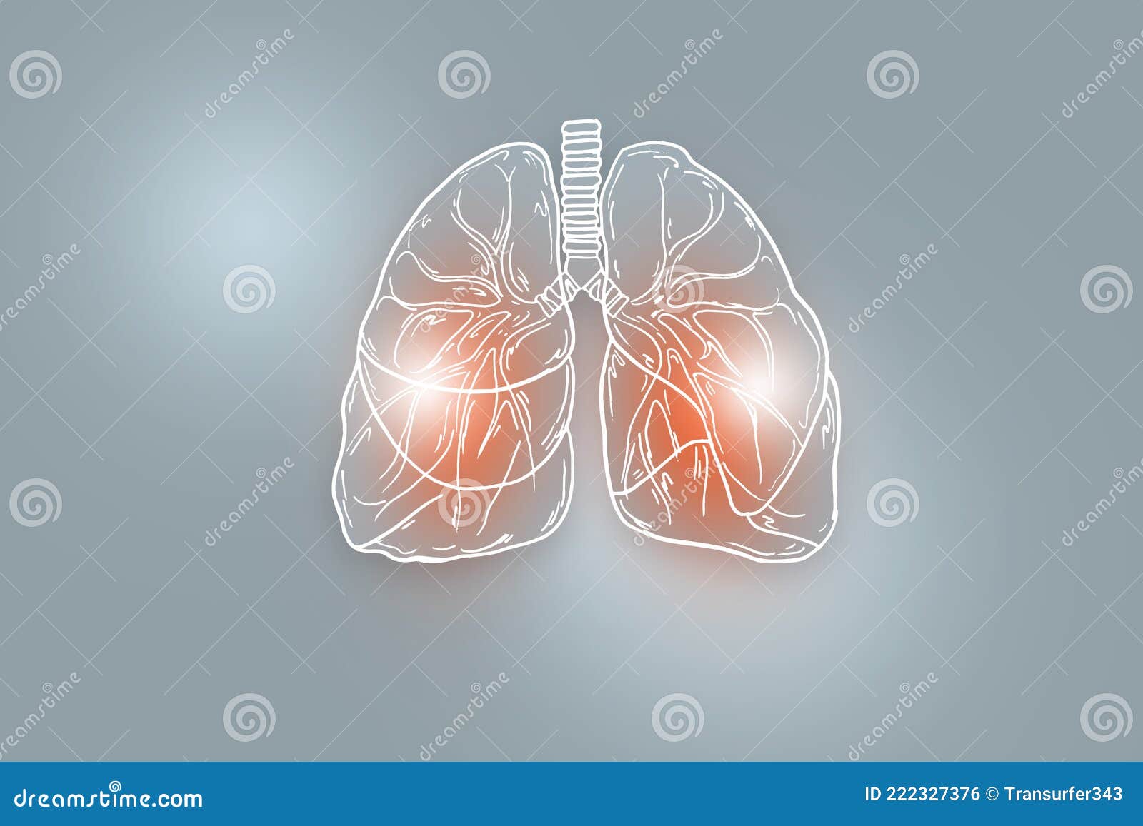 Handrawn Illustration of Human Lungs on Light Gray Background. Stock ...