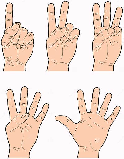 Hands 1 through 5 stock vector. Illustration of four, hand - 5427239