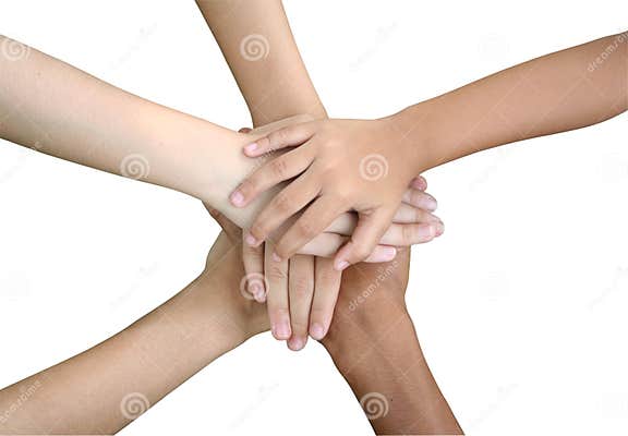 Hands stock photo. Image of grassy, green, community, shake - 1010430