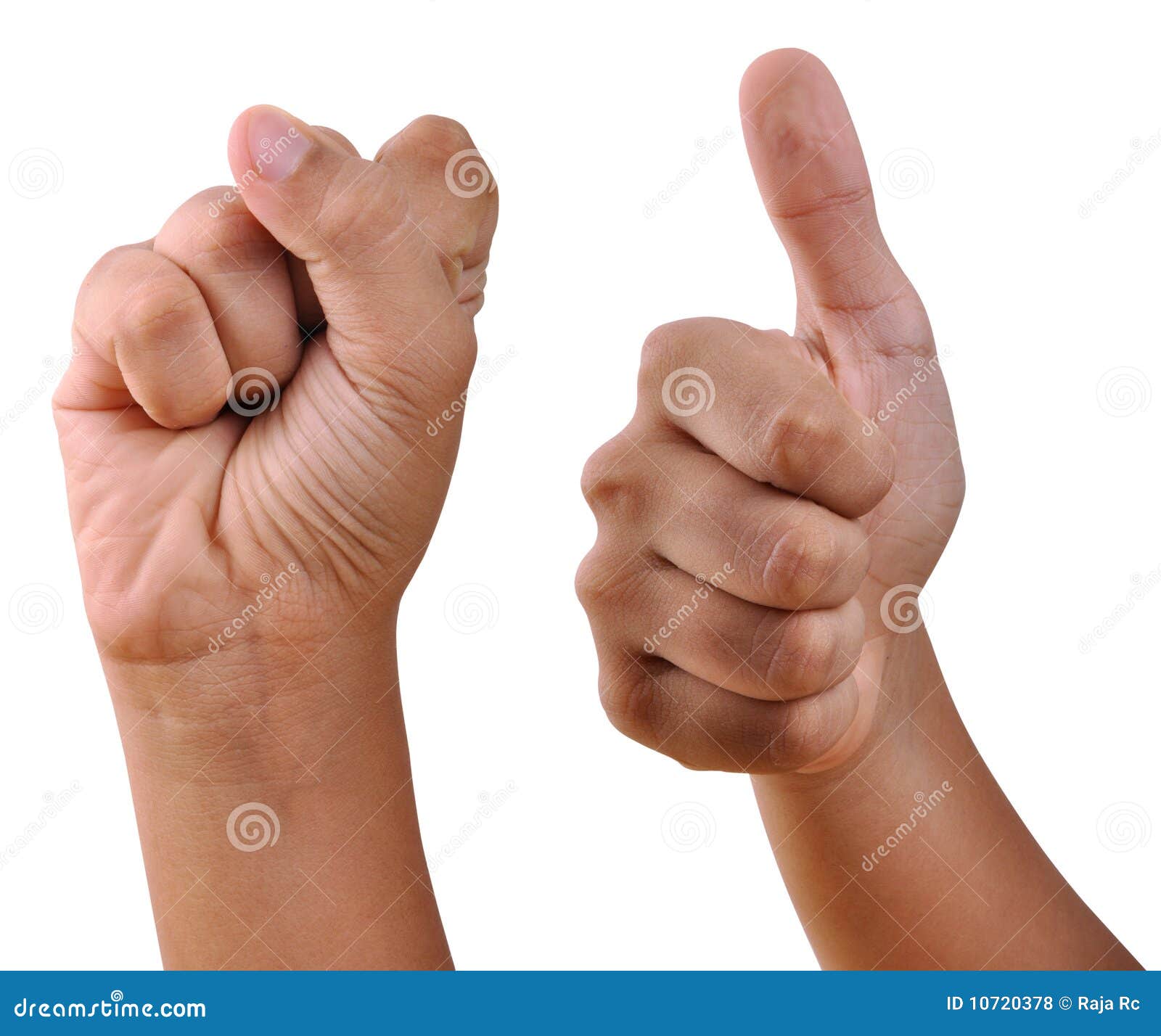 Hands stock photo. Image of clipping, hand, adult, isolated - 10720378