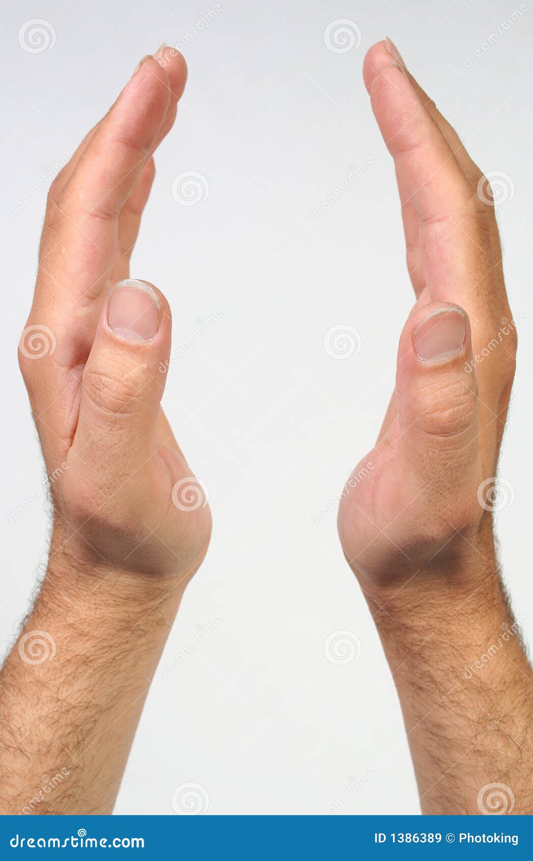 HANDS stock image. Image of stil, hands, isolated, betwen - 1386389