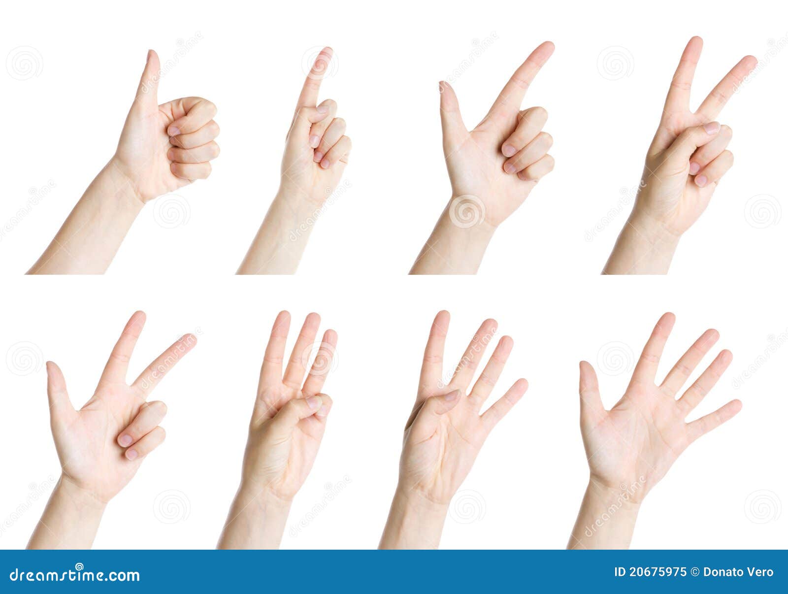 Hands stock image. Image of maths, number, palm, account - 20675975