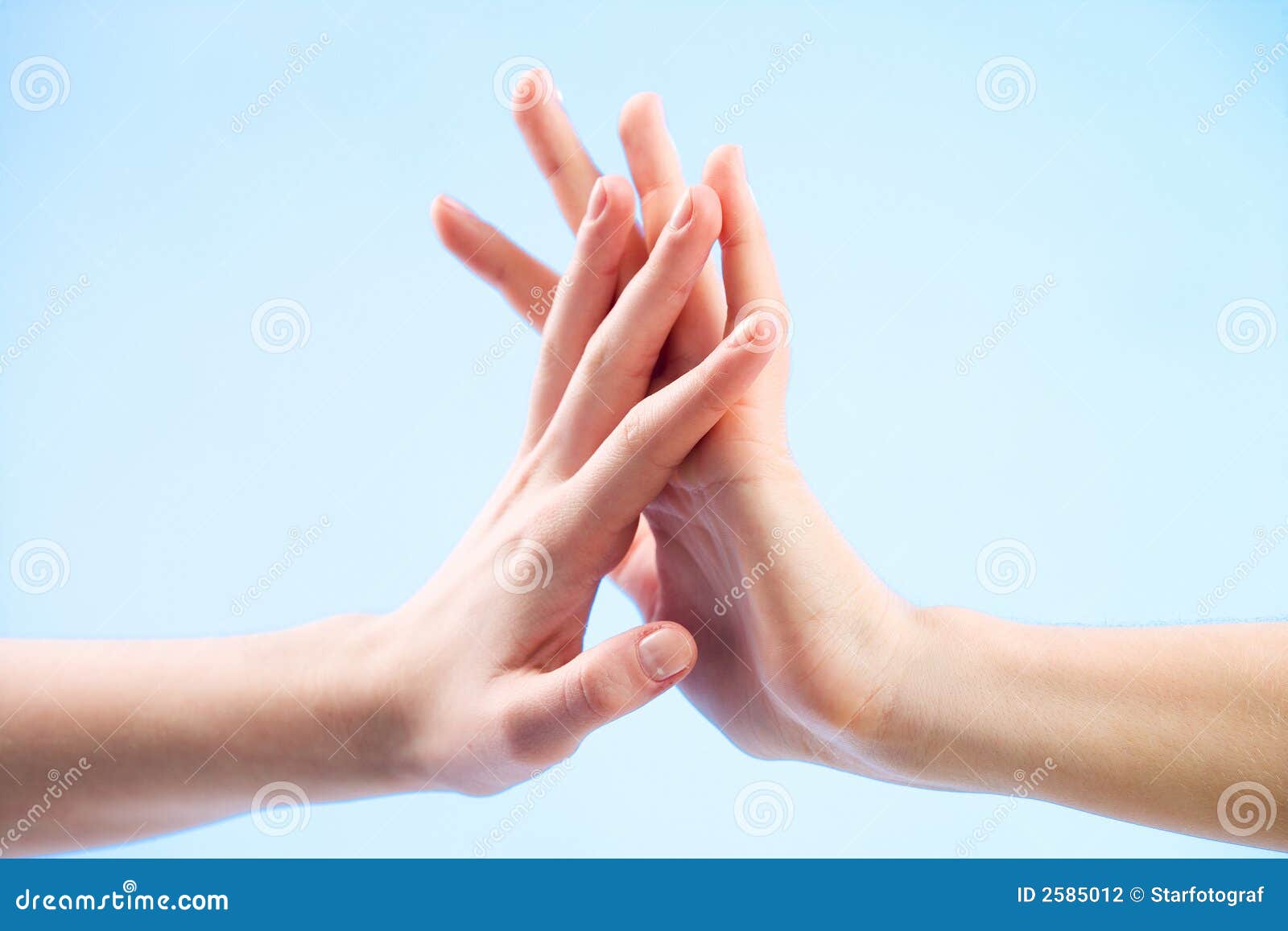 Hands stock photo. Image of gently, attractive, support - 2585012