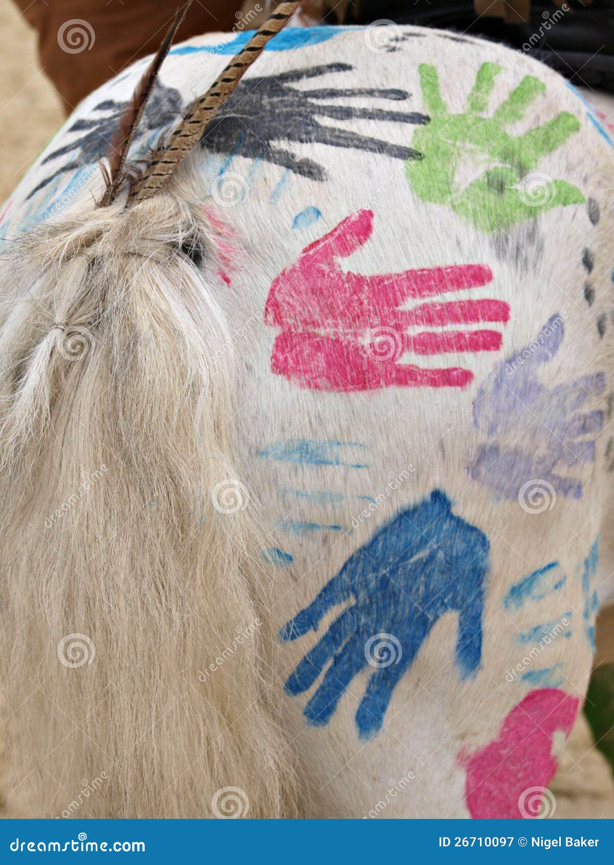 Hands stock image. Image of decorated, horse, pony, indian - 26710097
