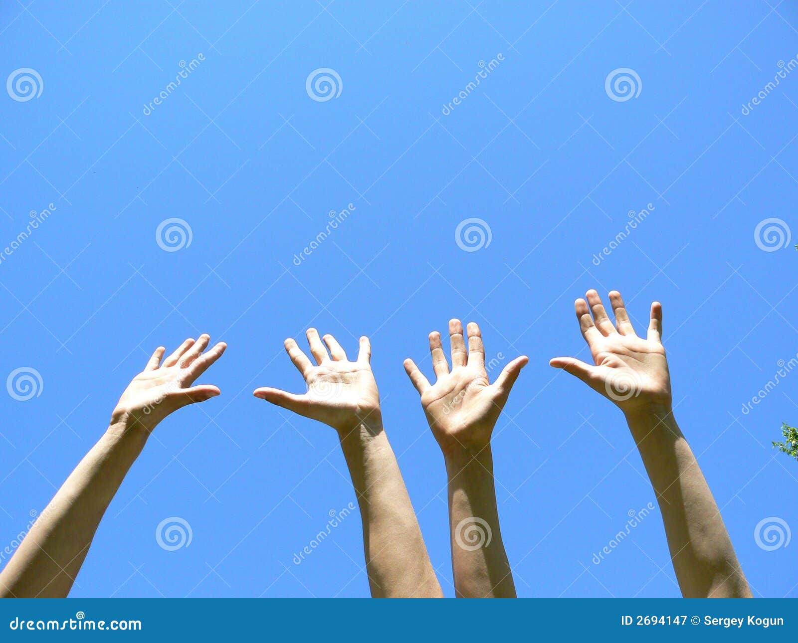 Hands stock image. Image of summer, beautiful, nature - 2694147