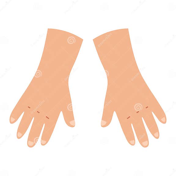 Body Parts in Cartoon Style - Arms. Right and Left Hands Front Side ...