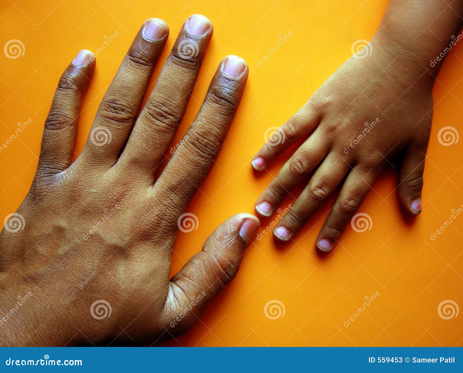 Hands stock image. Image of fingers, palm, difference, distance - 559453