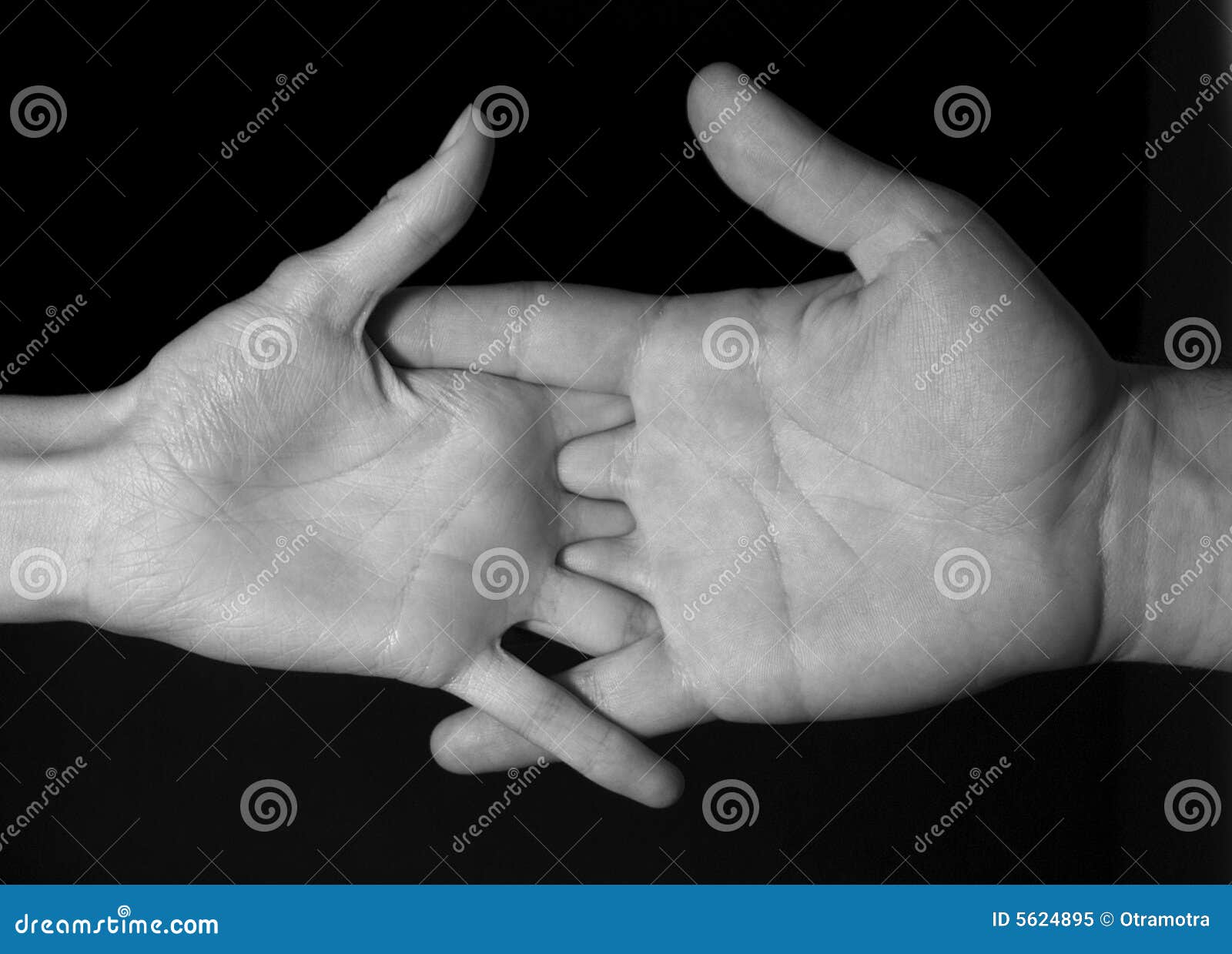 Hands stock image. Image of interlacing, love, hands, hand - 5624895