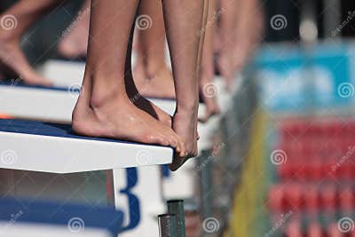 Hands stock photo. Image of swimmers, blocks, competition - 6368528