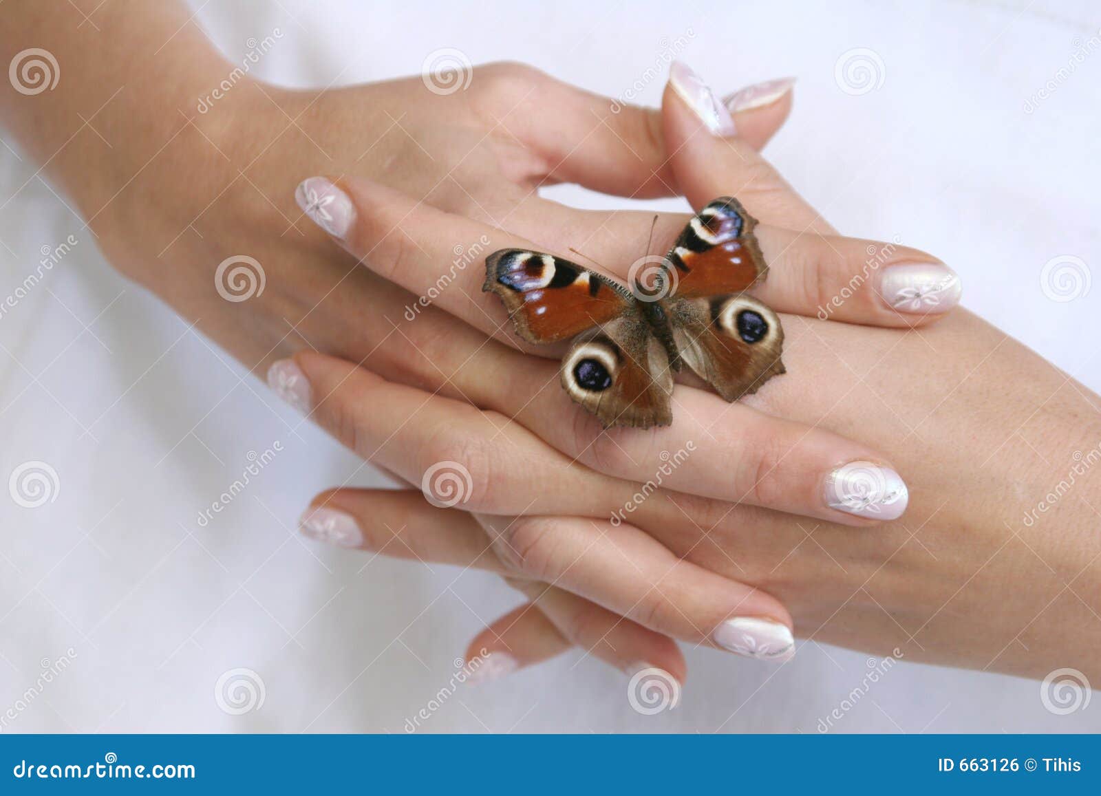 Hands stock photo. Image of fingers, luxury, insect, body - 663126