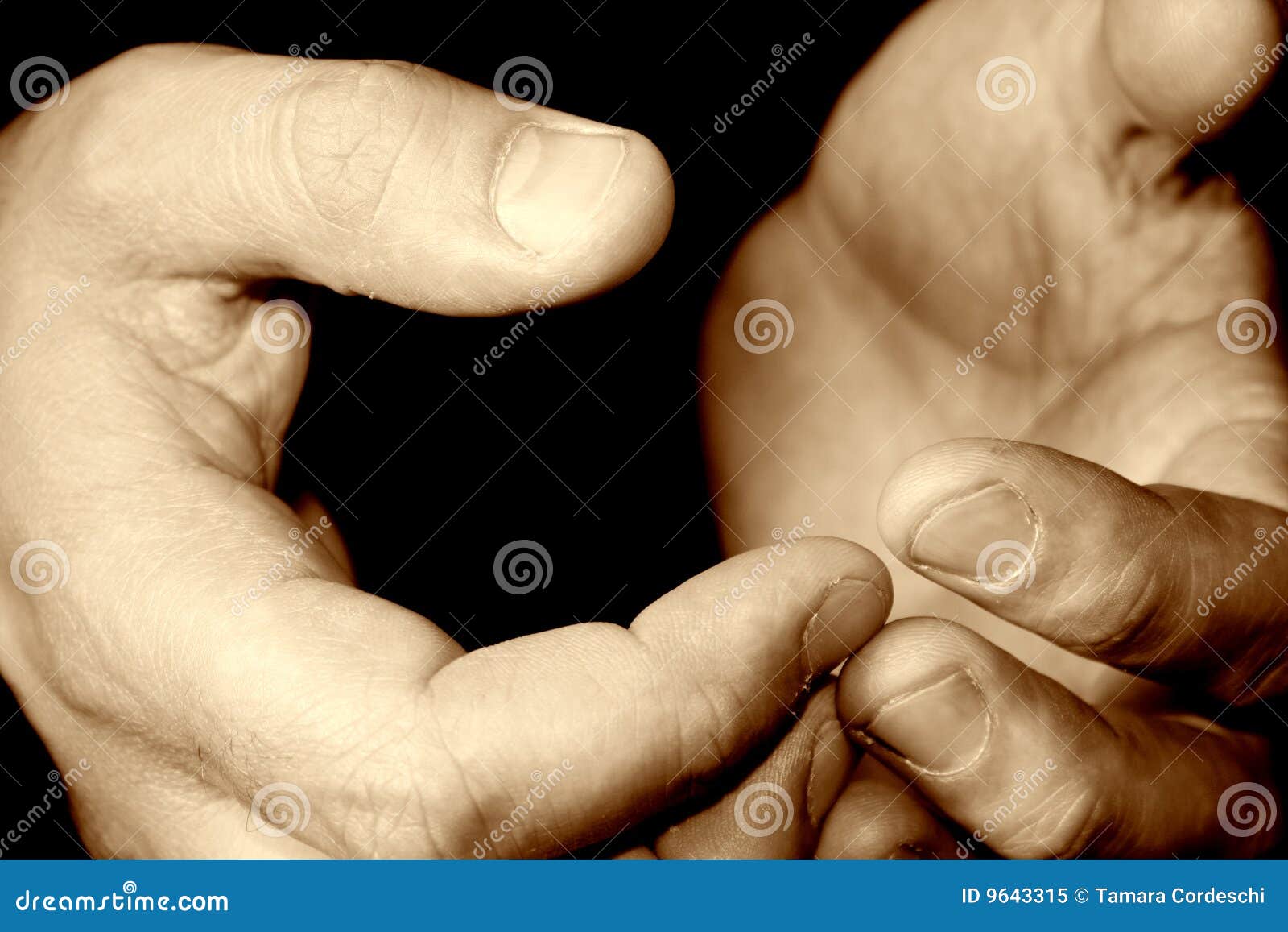 Hands stock image. Image of attractive, male, mode, beauty - 9643315