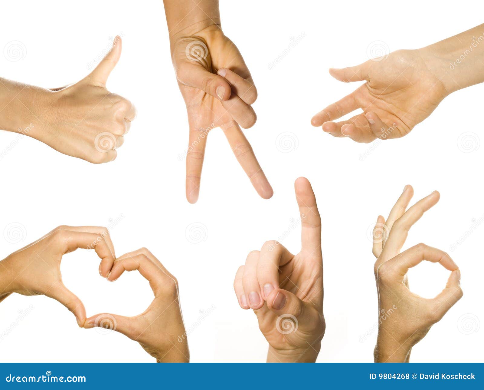 Hands in action stock photo. Image of gesticulate, heart - 9804268
