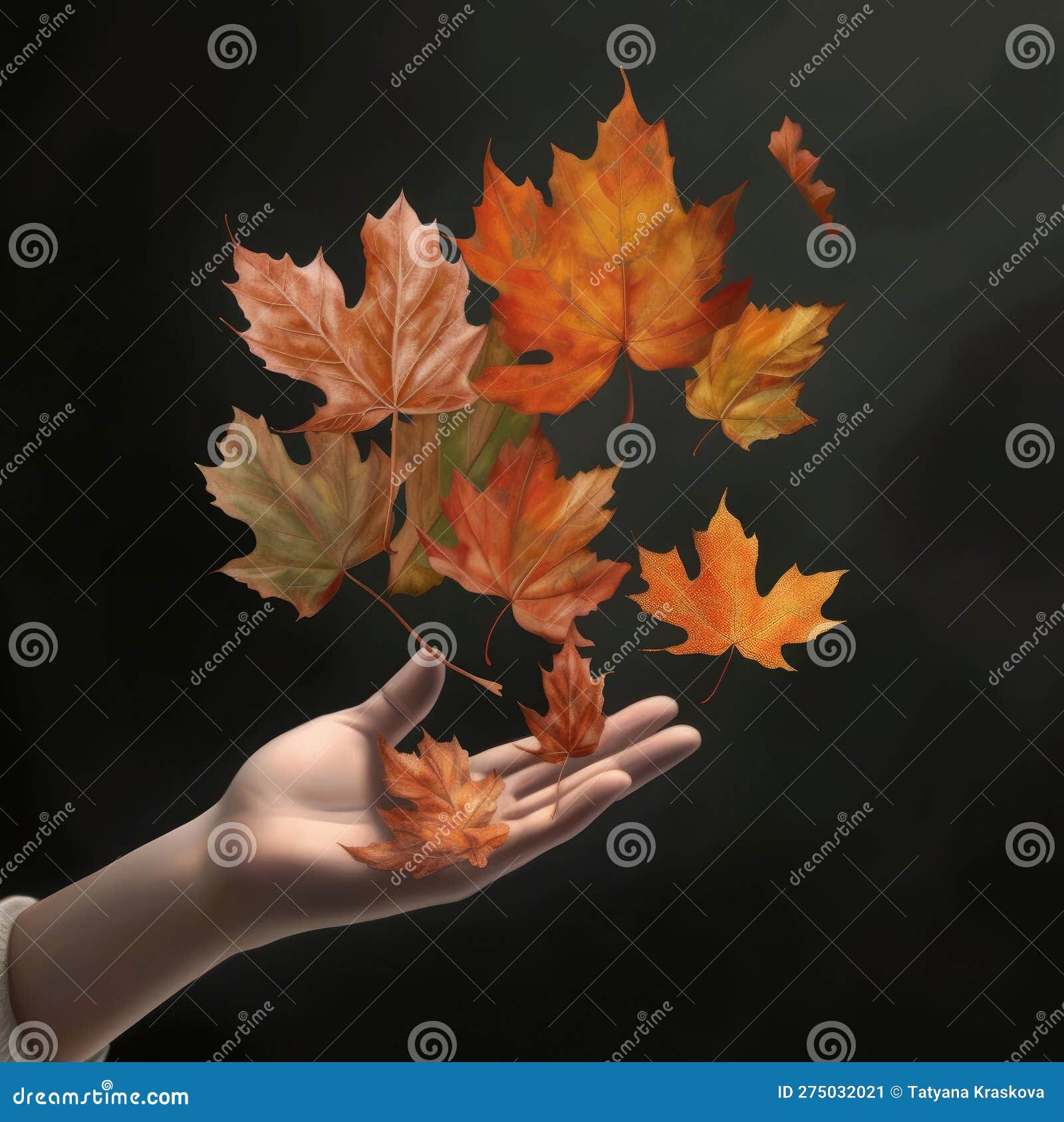 Arm with leaves fall stock image. Image of yellow, maple - 275032021