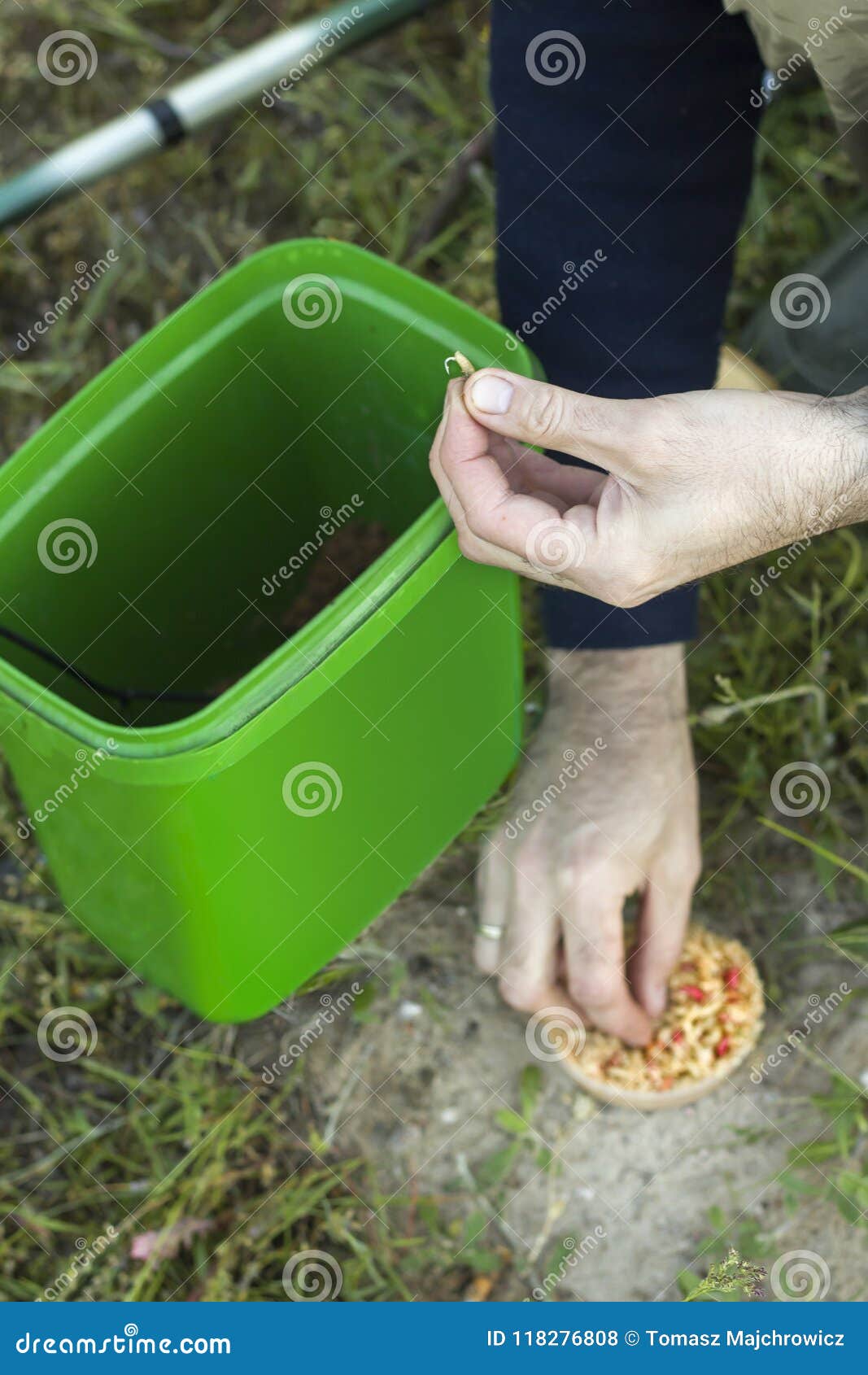 The Hands of the Angler Hold a Hook with the Larvae of Fly Larvae ...