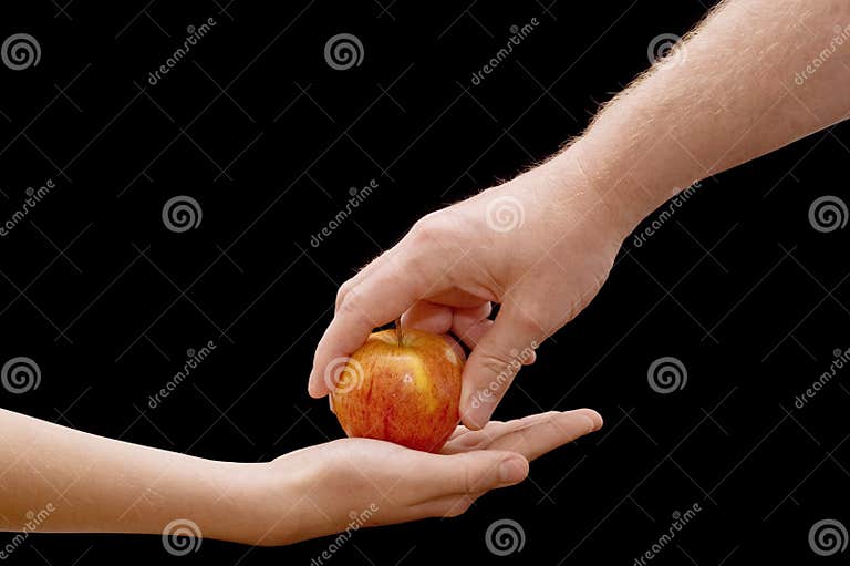 Hands & Apple stock image. Image of fruit, holding - 11918499