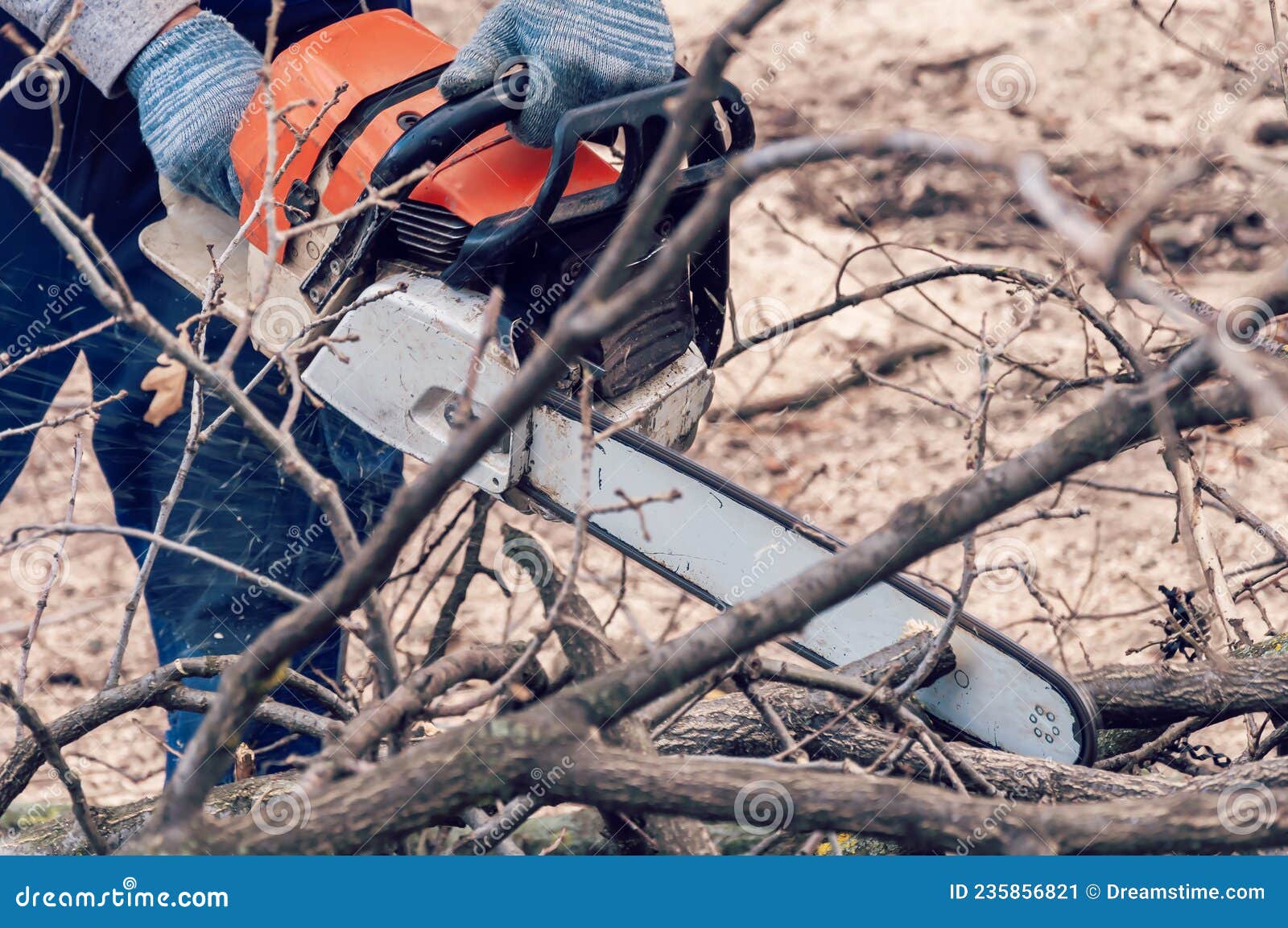 Hands of Worker Cutting the Log by Chainsaw Machine with Sawdust Splash ...