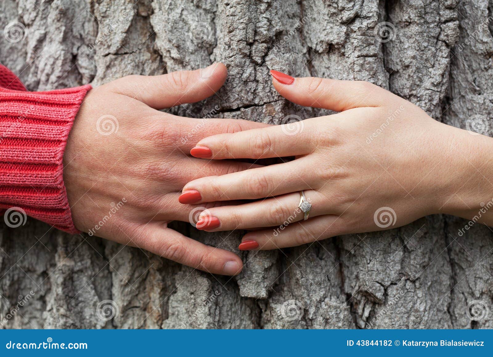 Hands around the tree stock photo. Image of fingernail - 43844182
