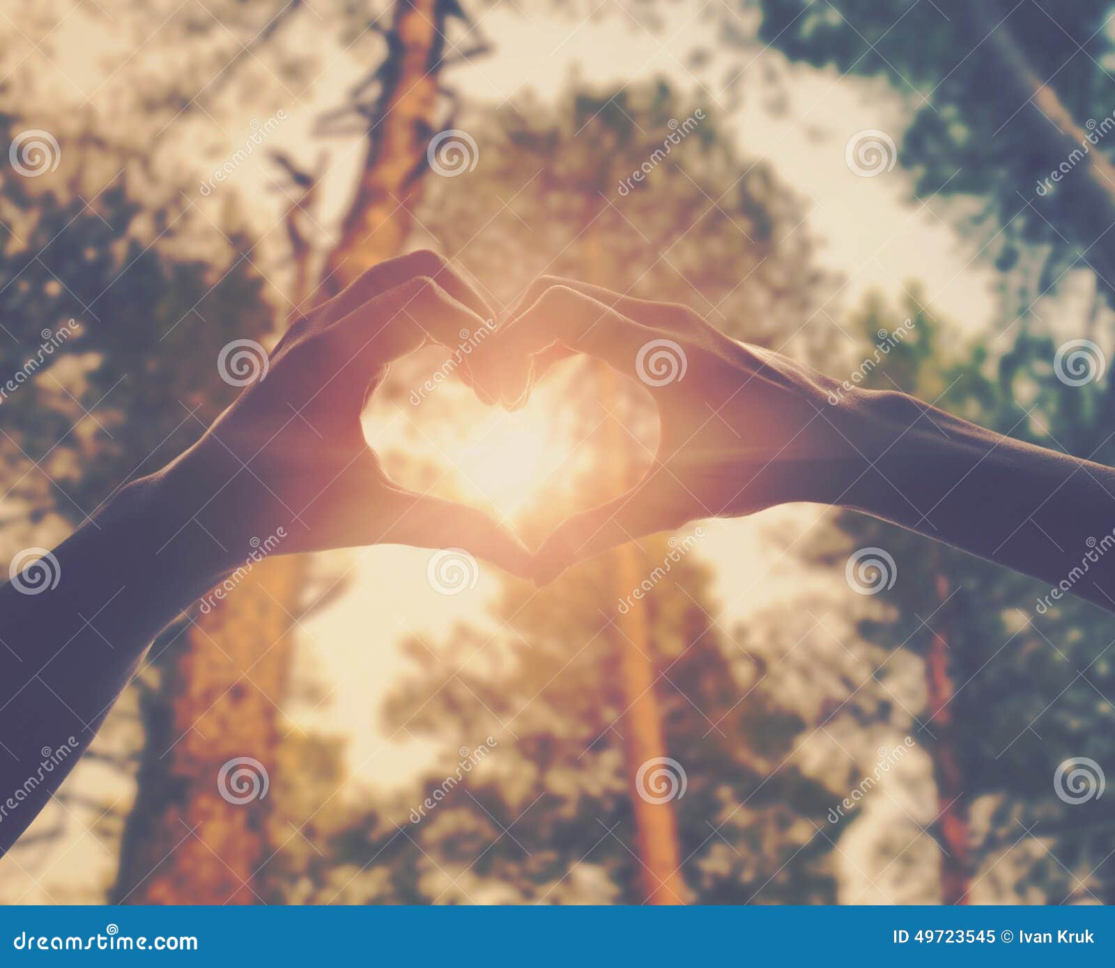 Hands as love heart stock image. Image of grace, tree - 49723545