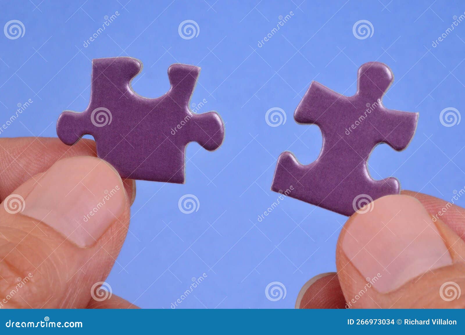 Hands Assembling Two Puzzle Pieces Close Up on Blue Background Stock ...
