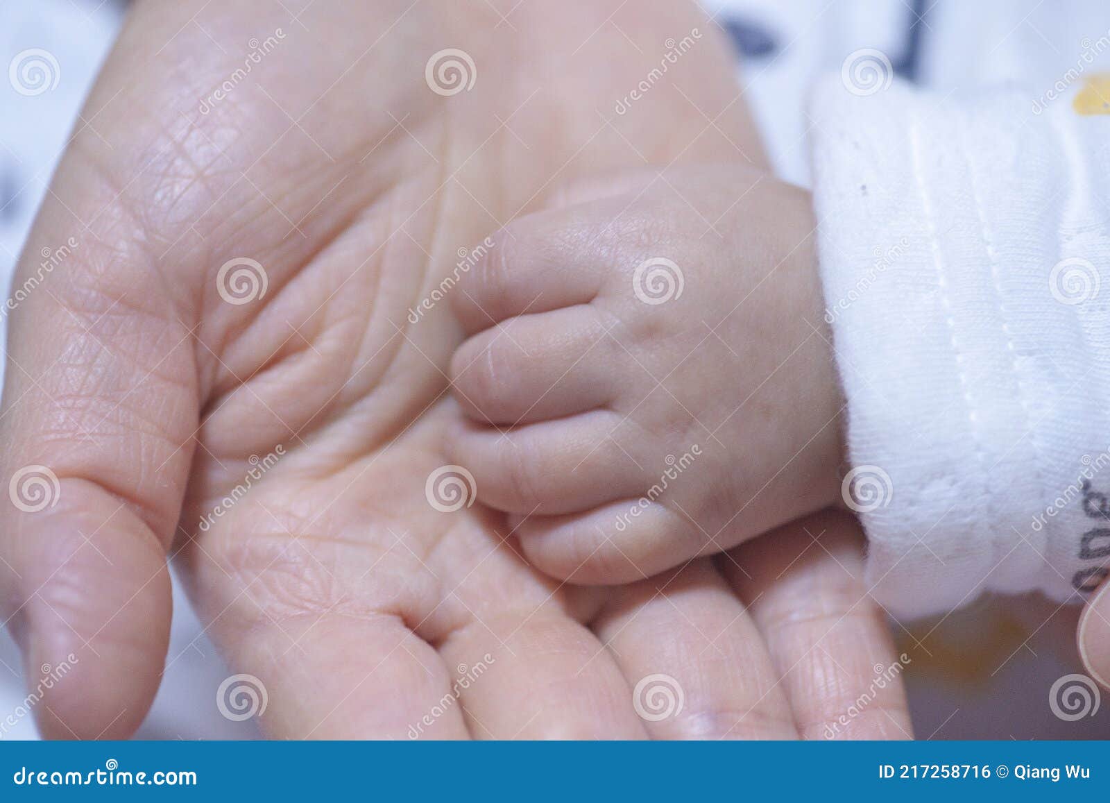 Hands of Babies and Parents Stock Photo - Image of generations, father ...