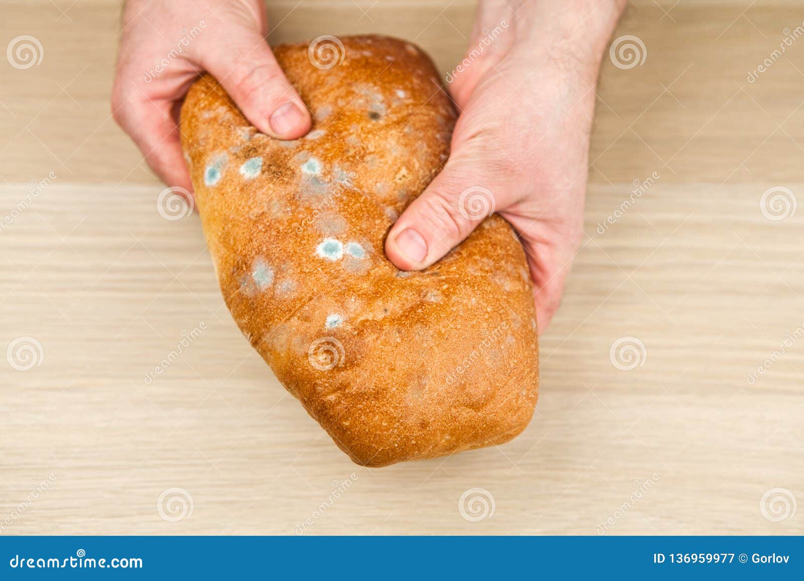 Hands bad bread table stock image. Image of mould, mouldy - 136959977
