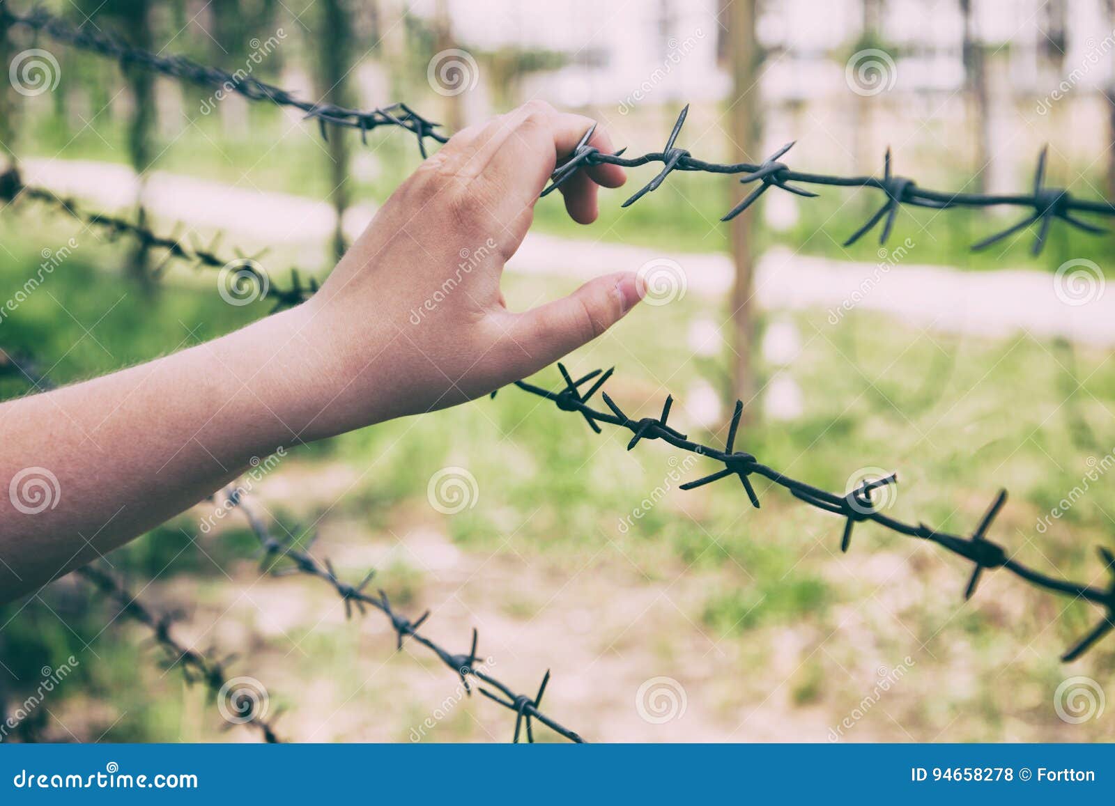 Hands and barbed wire. stock photo. Image of hands, injustice - 94658278