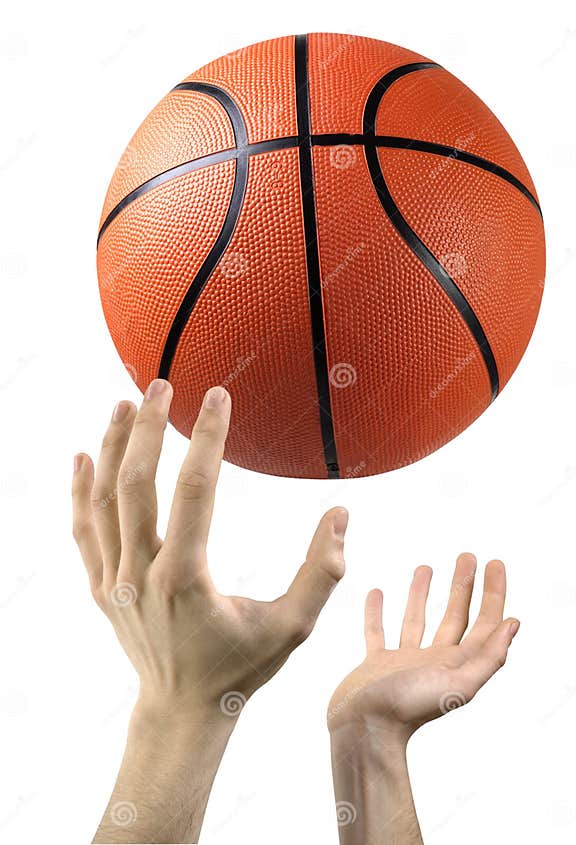 Hands and basketball stock photo. Image of hold, sport - 1380284