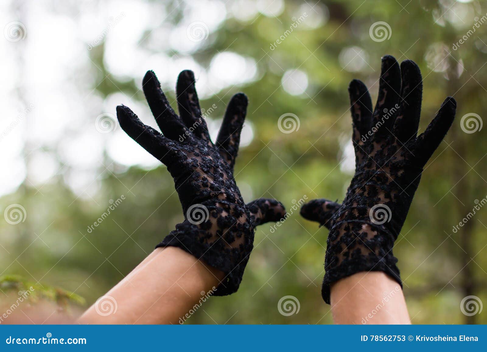Hands in black gloves stock image. Image of timber, nature - 78562753