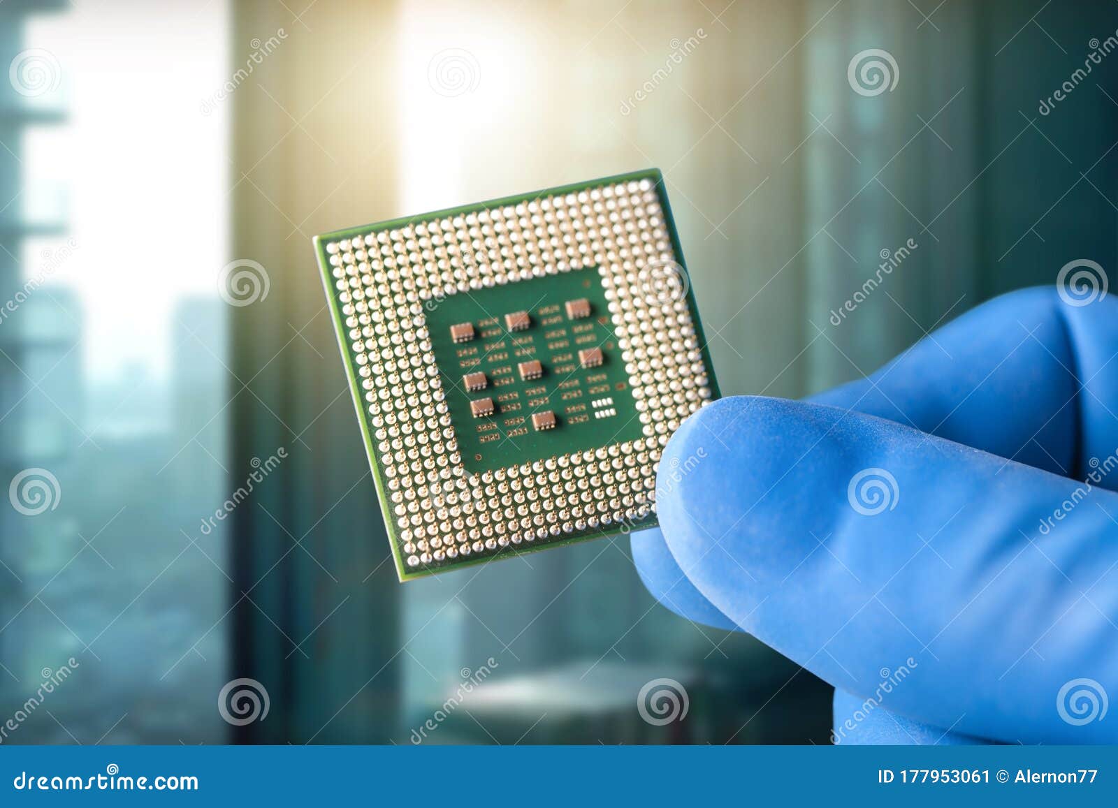 The Hands of the Scientist Hold the Processor Stock Image - Image of ...