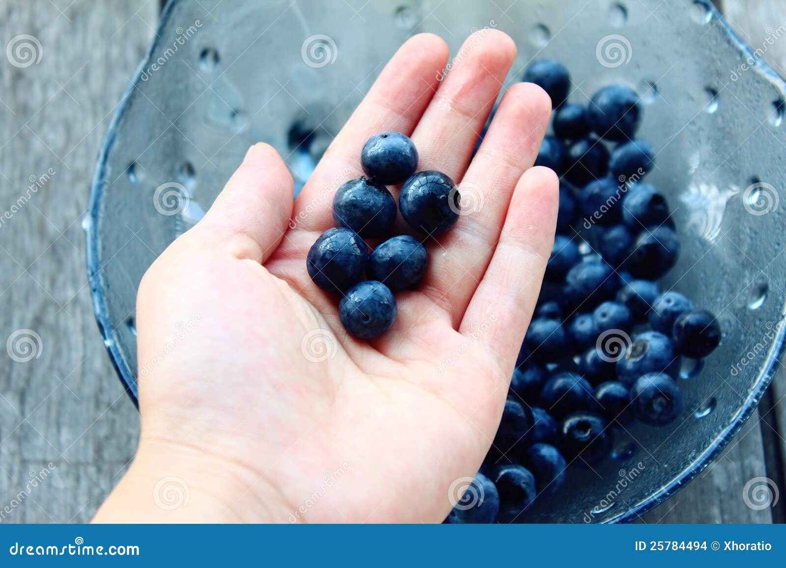 Hands with blueberry stock photo. Image of berry, organic - 25784494