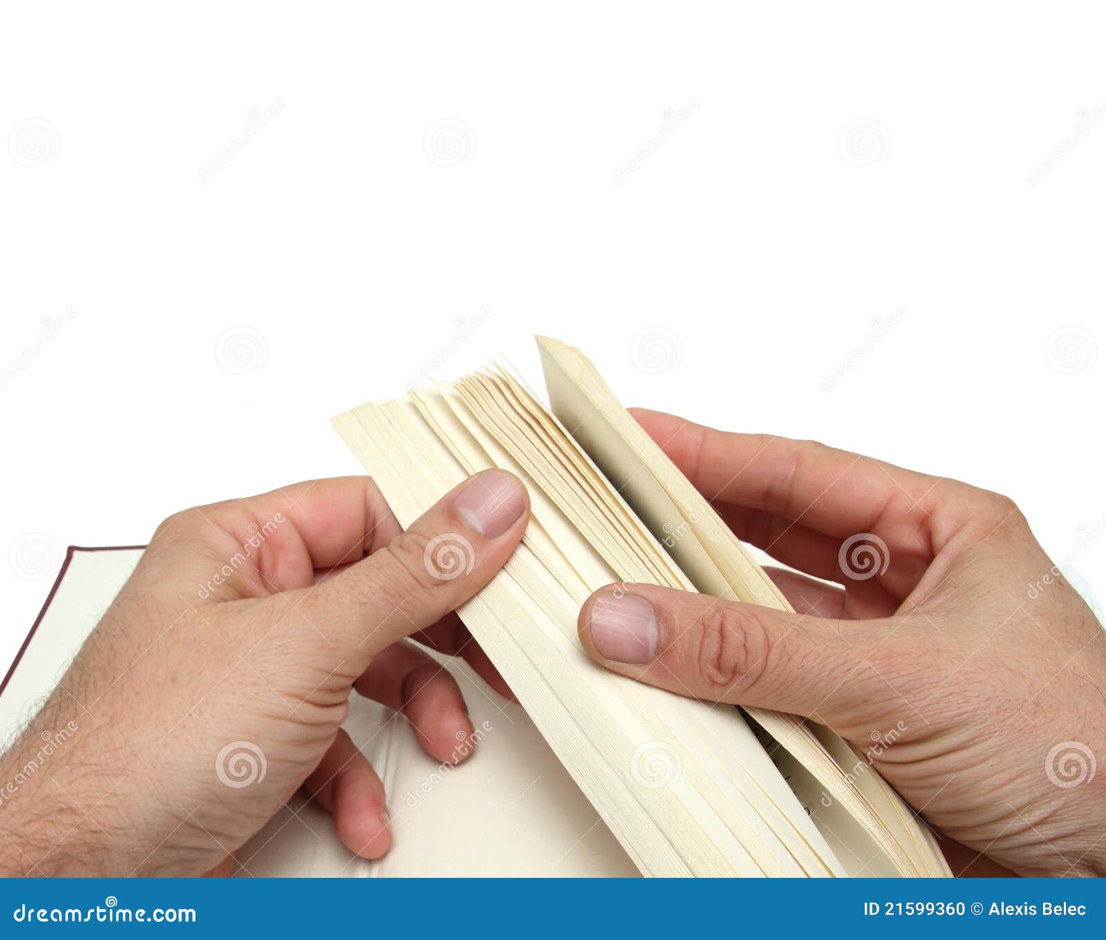Hands and book stock photo. Image of searching, fingers - 21599360