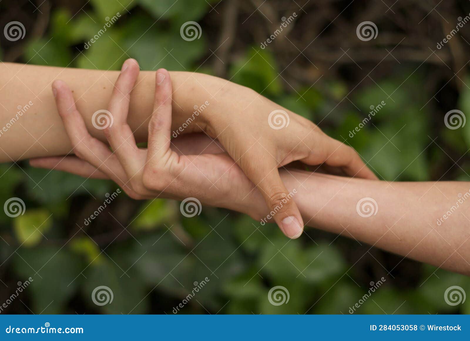 Hands with Bottom of Green Wall with Plants Stock Photo - Image of ...