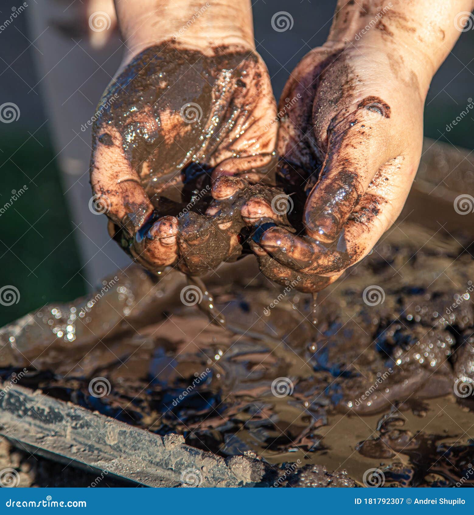 Hands of a Boy in Black Mud on Nature Stock Image - Image of ground ...