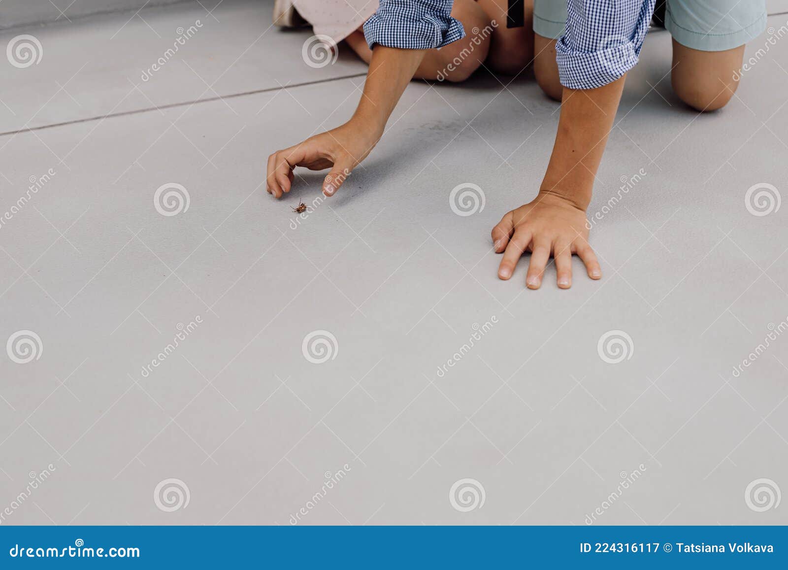 The Hands of Boy Catching Bug that Crawls on Concrete Floor Stock Image ...