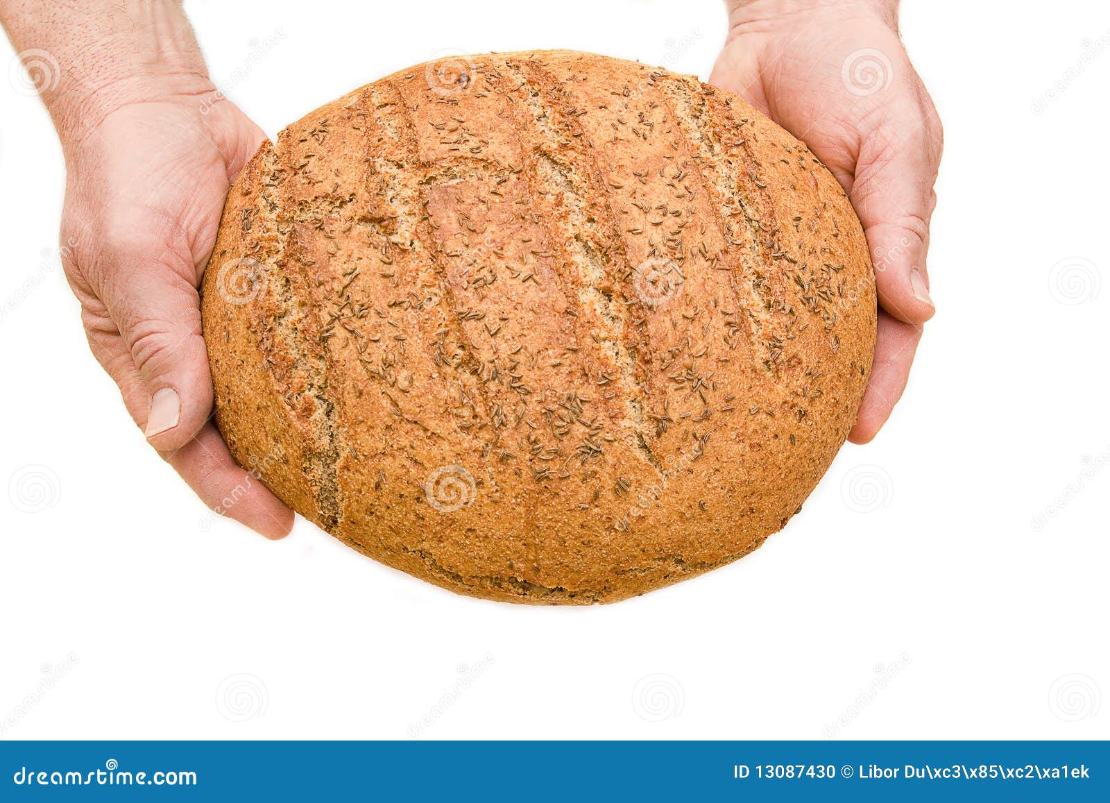 Hands with bread stock photo. Image of broil, bread, hold - 13087430
