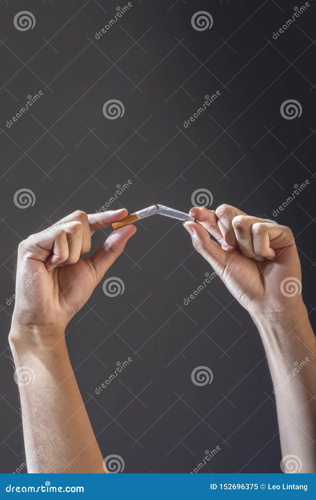 Hands break a cigarette stock image. Image of risk, broken - 152696375