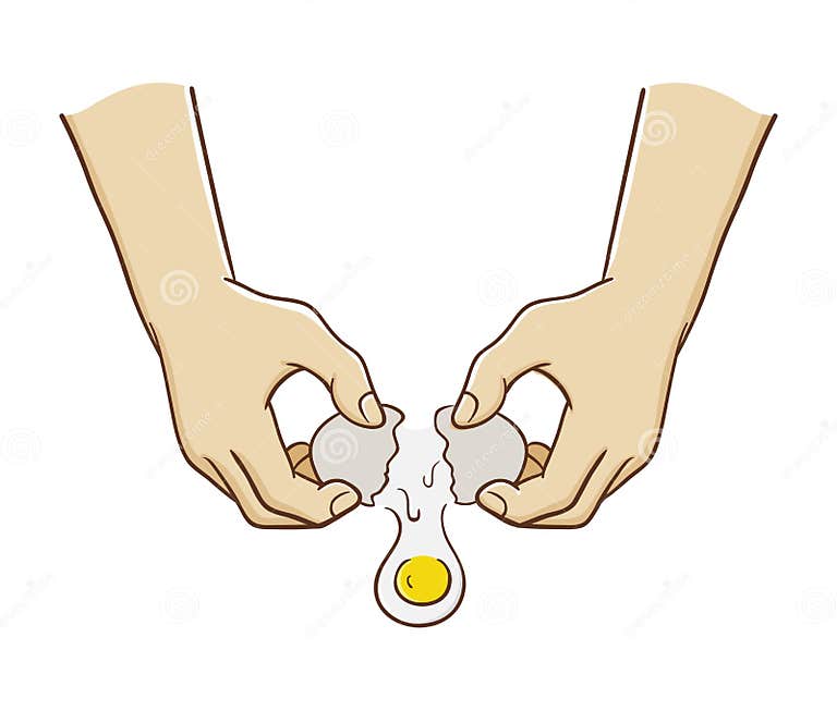 Hands Breaking an Egg stock vector. Illustration of cooking - 53644713
