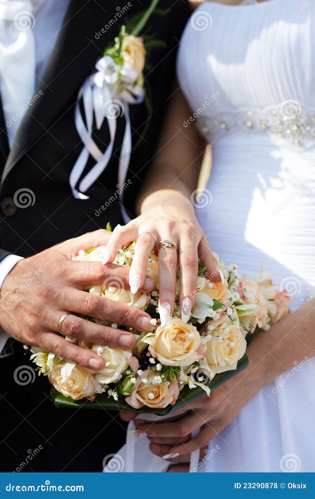 Hands of bride and groom stock photo. Image of pink, hands - 23290878