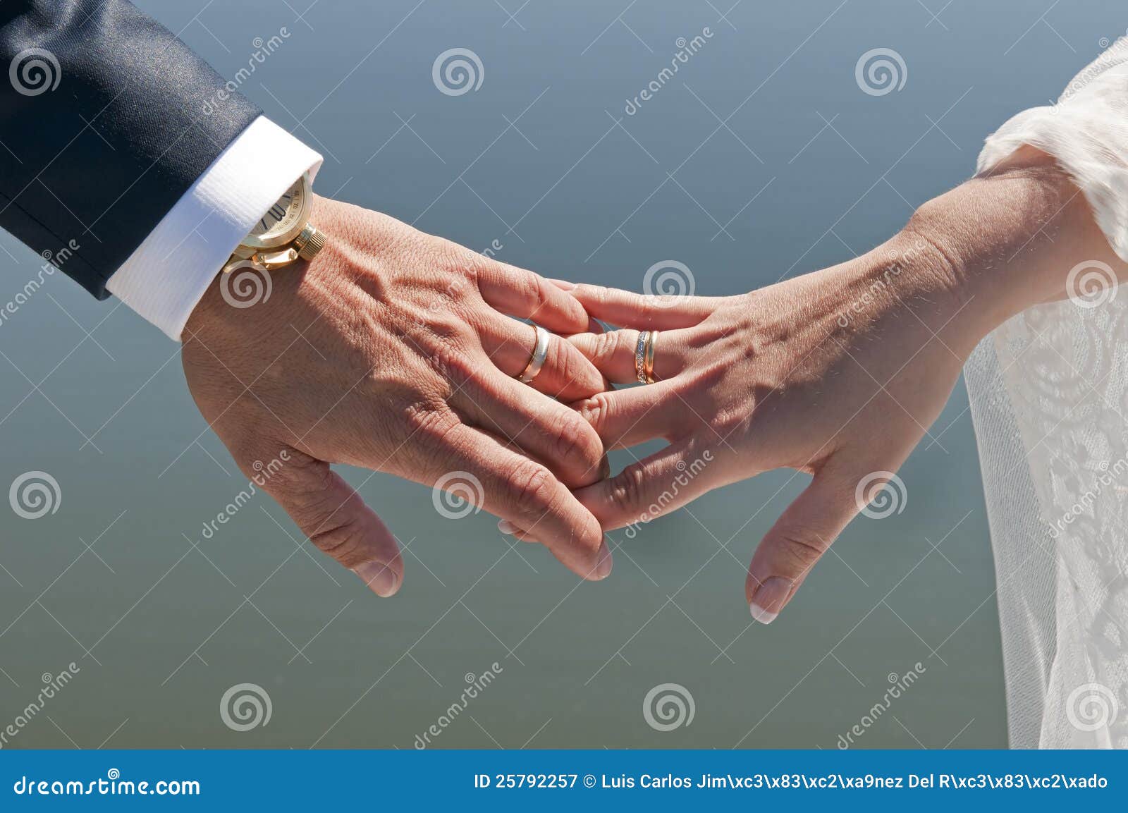 Hands of bride and groom stock image. Image of together - 25792257