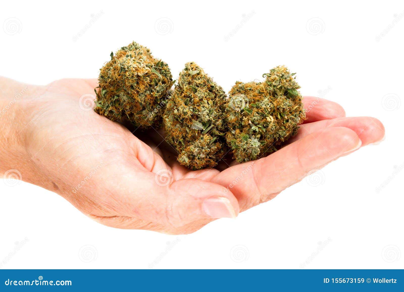 Hands on cannabis stock image. Image of green, hemp - 155673159