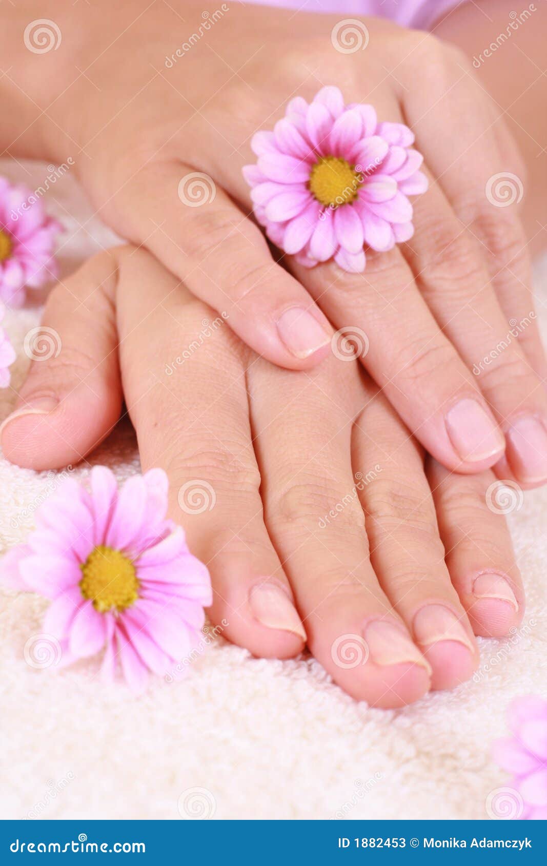 Hands care stock image. Image of girl, finger, polish - 1882453