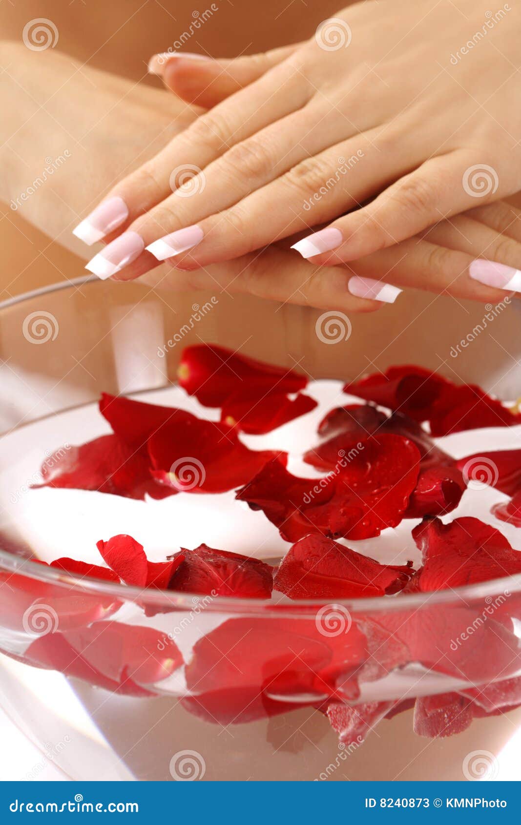 Hands Care - Rose Petals Bath Stock Image - Image of human, bowl: 8240873