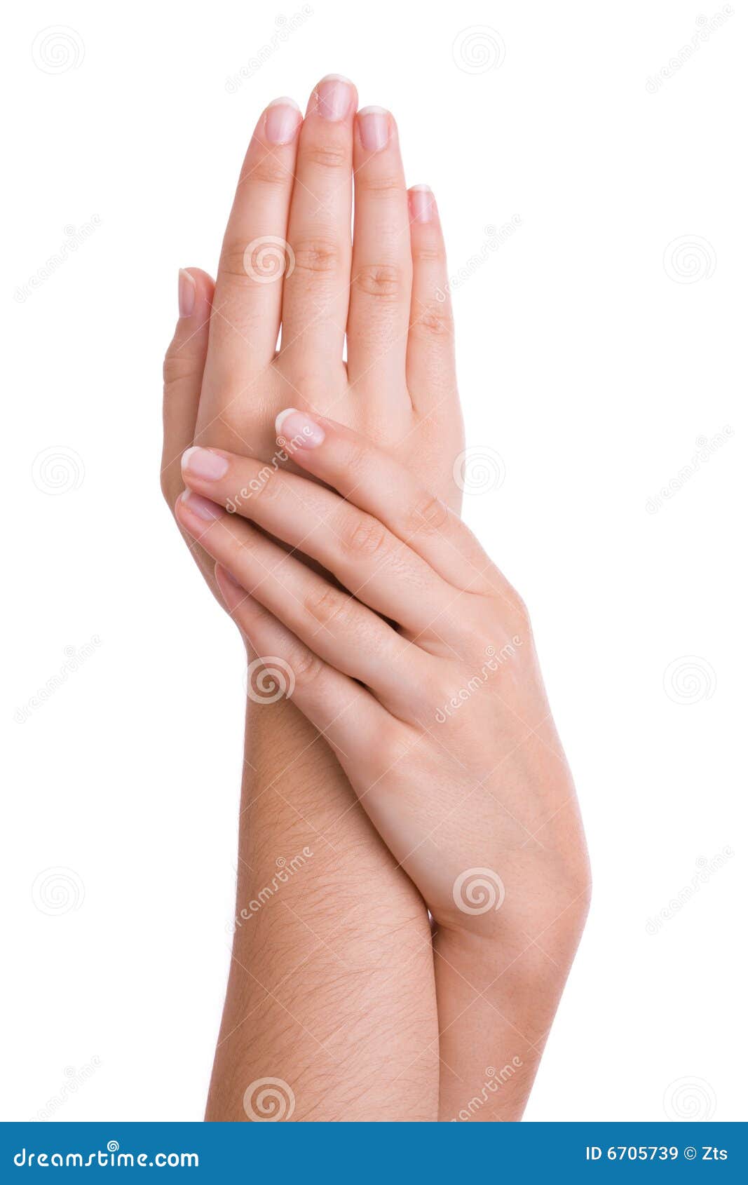 Hands caressing stock image. Image of close, health, beautiful - 6705739