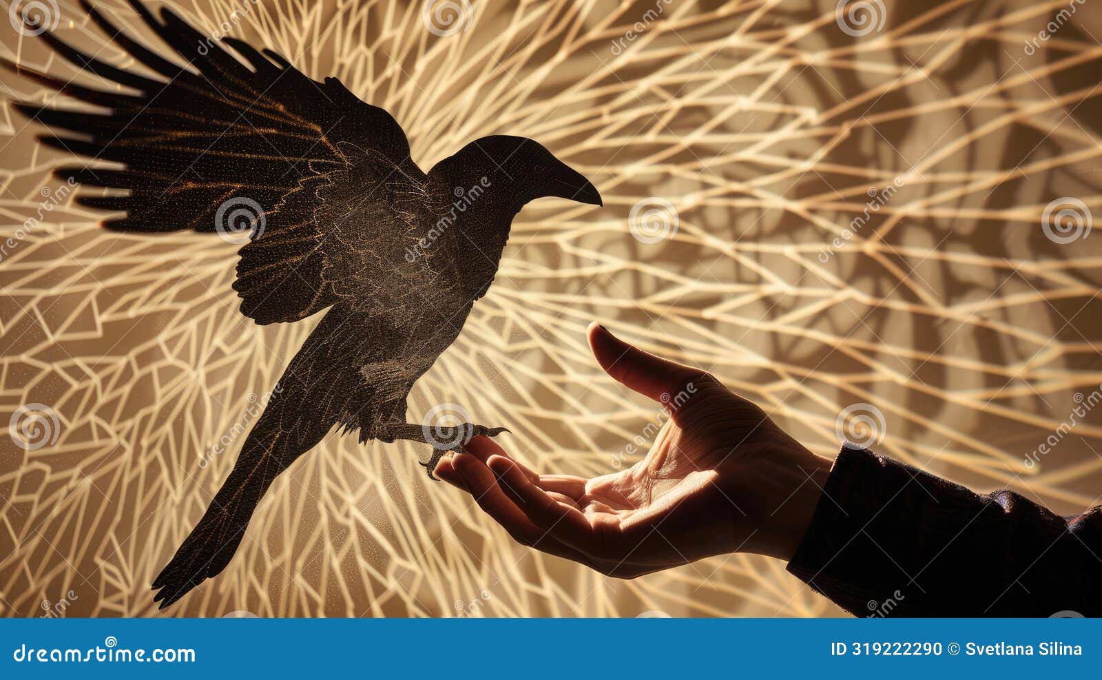 Hands Casting a Bird Shadow Puppet, Its Shadow Transforming into ...