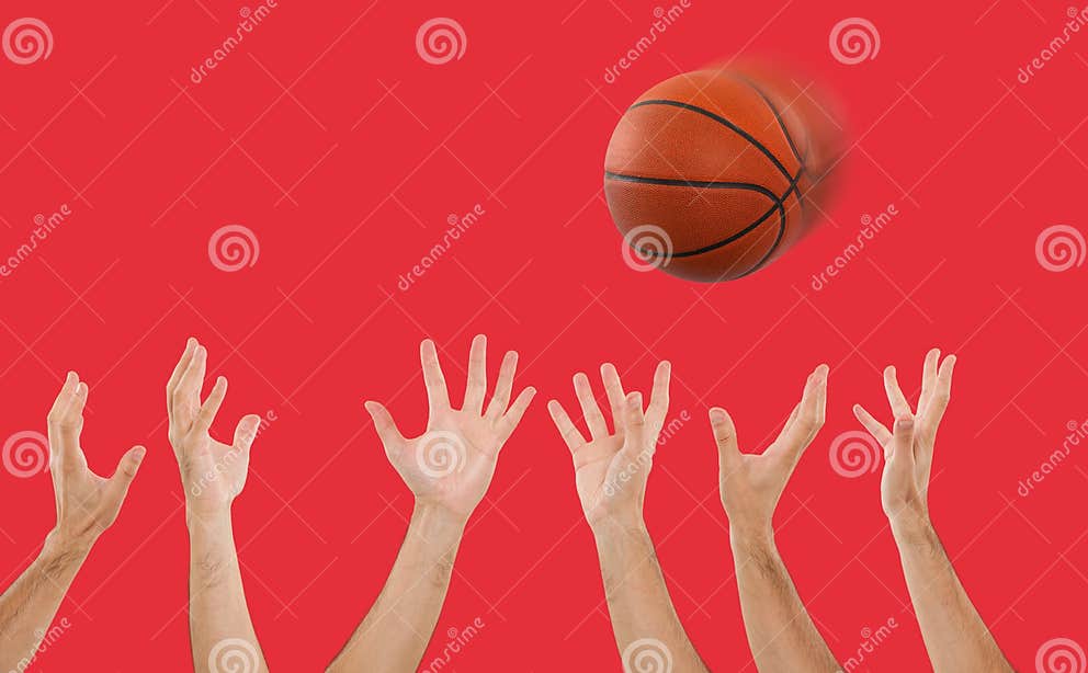 Hands Catching a Basketball Stock Photo - Image of sportsman, playing ...
