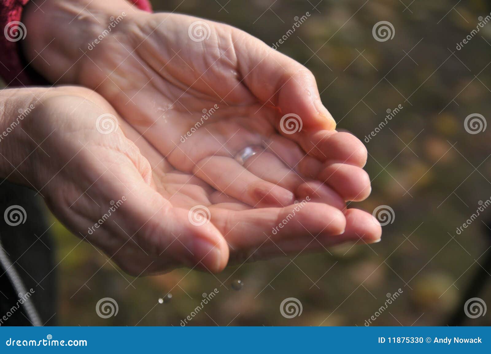 Hands Catching Drops of Water Stock Photo - Image of details, water ...