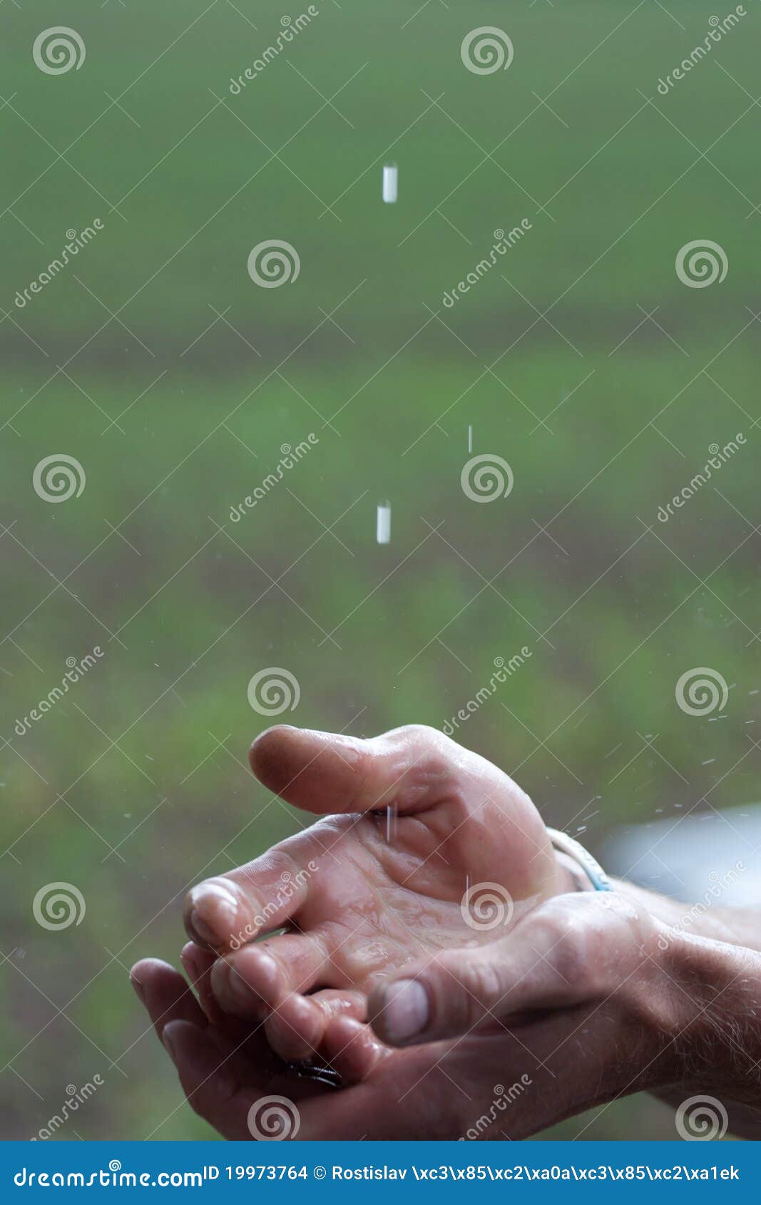 Hands catching raindrops stock photo. Image of cupping - 19973764