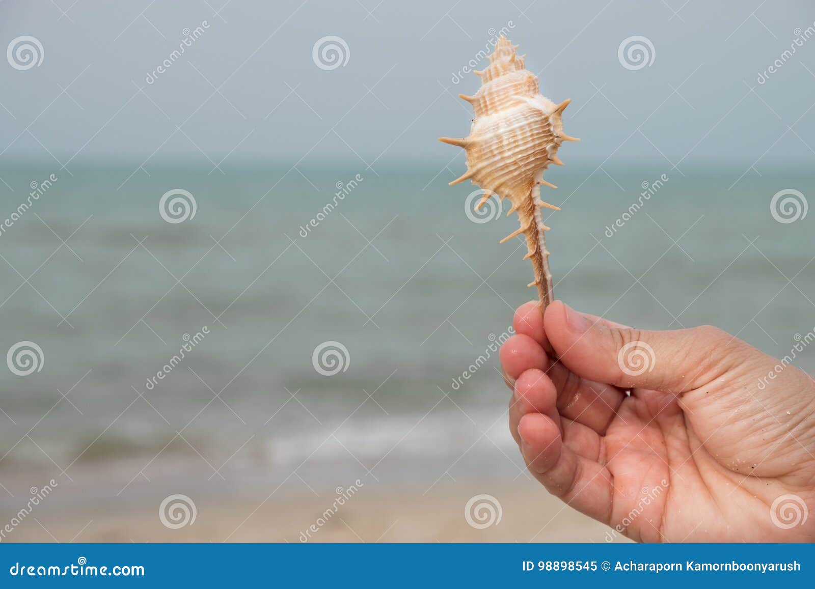 Hands are Catching Shellfish Stock Image - Image of fish, fingers: 98898545