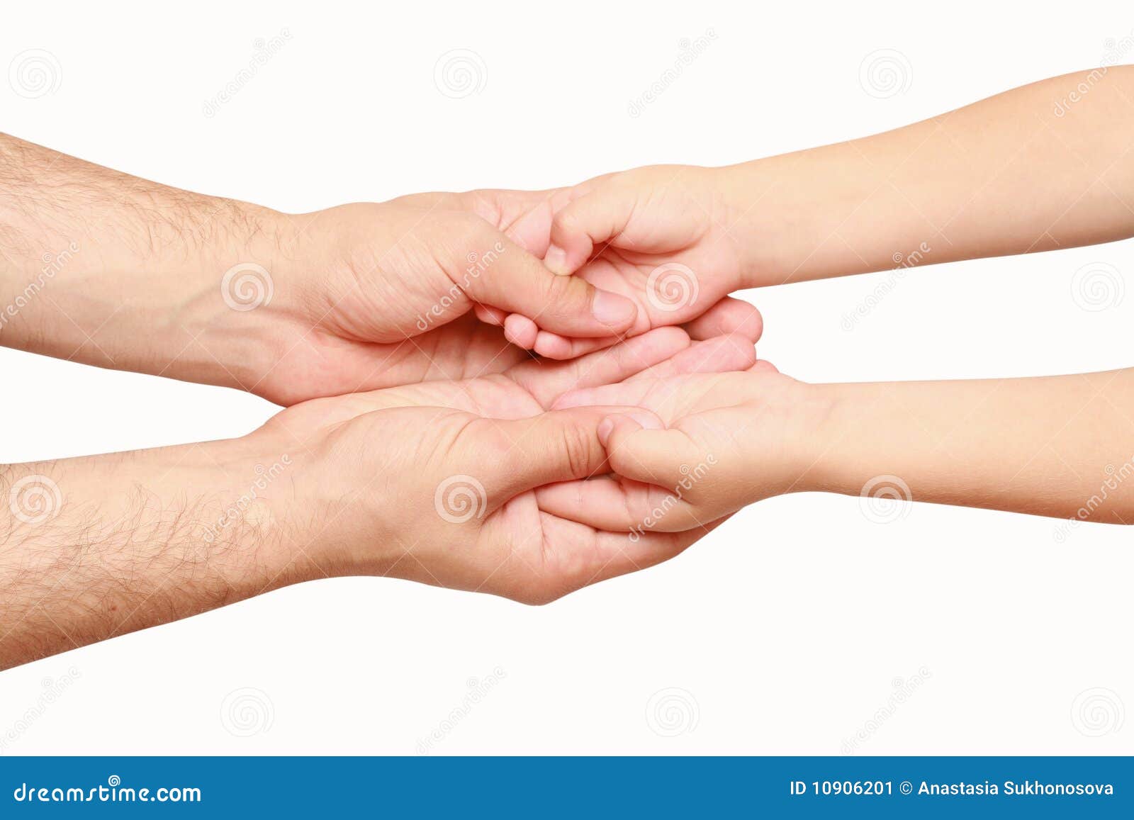 Hands of the Child and Adult Stock Image - Image of hands, father: 10906201